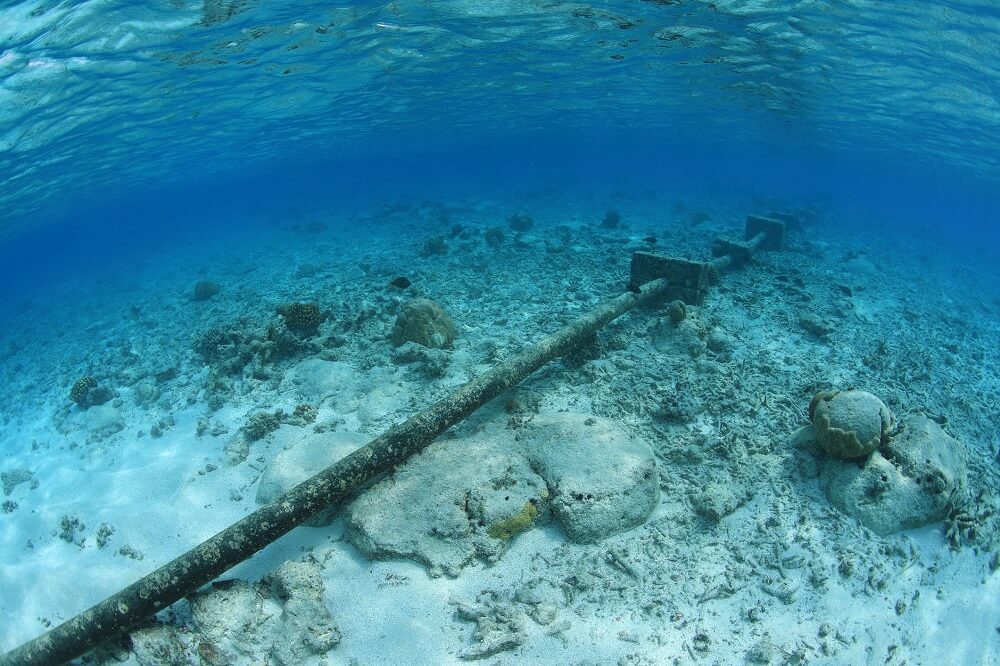 DOMADIA™ Silverin 500 | Corrosion Resistant Nickel Alloy